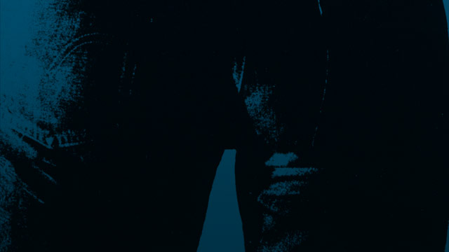 New AllMusic Feature - Back Covers