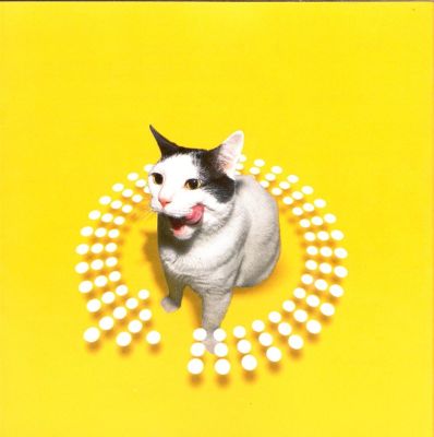 Twist This Pussy - Peter Rauhofer | Album | AllMusic