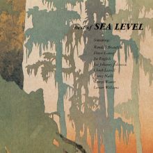 Sea Level Songs, Albums, Reviews, Bio & More |... | AllMusic