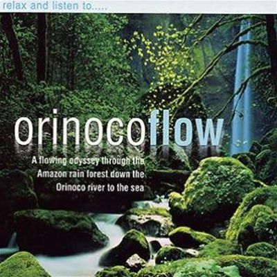 Orinoco Flow - Various Artists | Album | AllMusic