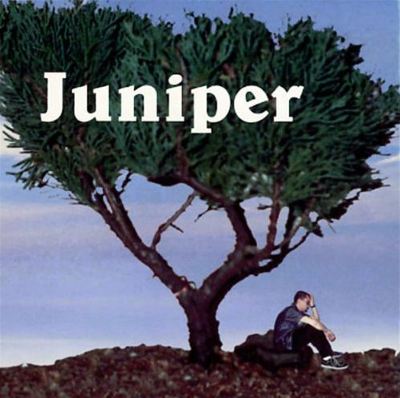 Juniper - Juniper | Album | AllMusic