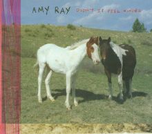 Amy Ray Songs, Albums, Reviews, Bio & More | A... | AllMusic