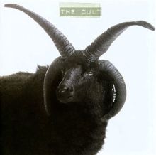 The Cult Songs, Albums, Reviews, Bio & More | ... | AllMusic