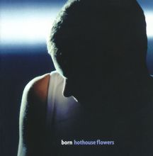 Hothouse Flowers Songs, Albums, Reviews, Bio &... | AllMusic
