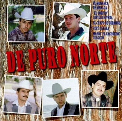 De Puro Norte, Vol. 1 - Various Artists | Album | AllMusic