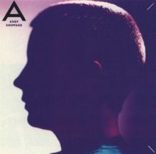 Andy Sheppard Songs, Albums, Reviews, Bio & Mo... | AllMusic