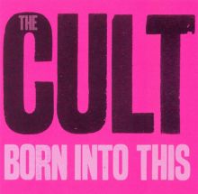 The Cult Songs, Albums, Reviews, Bio & More | ... | AllMusic