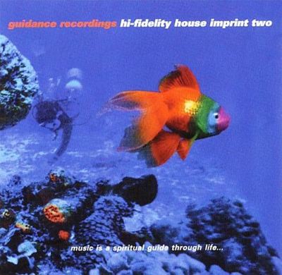 Hi-Fidelity House Imprint, Vol. 2 - Various Ar... | AllMusic