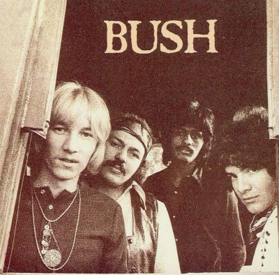 Bush - Bush | Album | AllMusic