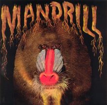 Mandrill Songs, Albums, Reviews, Bio & More | ... | AllMusic