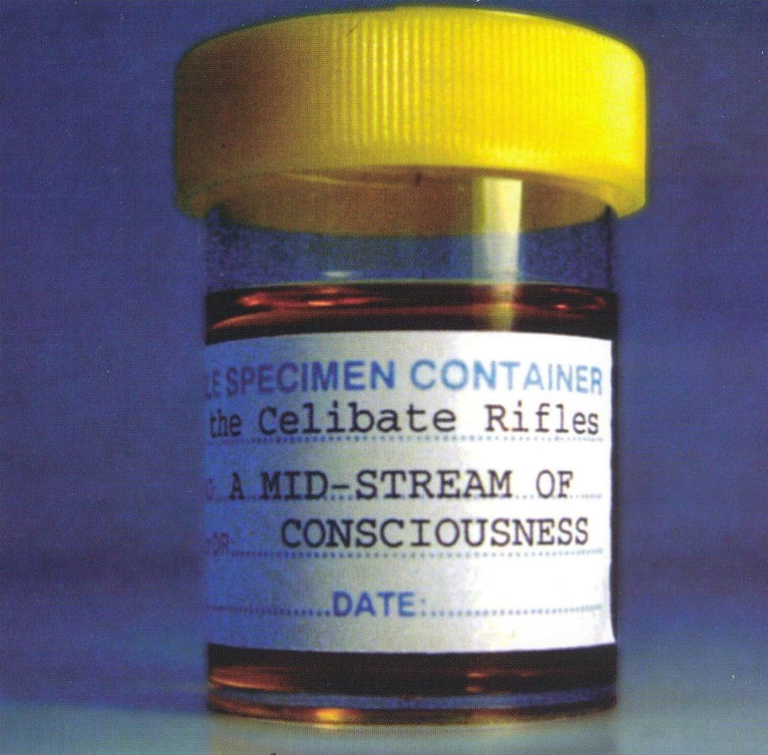 A Mid-Stream of Consciousness - The Celibate R... | AllMusic