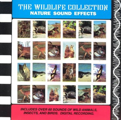 The Wildlife Collection: Nature Sound Effects ... | AllMusic