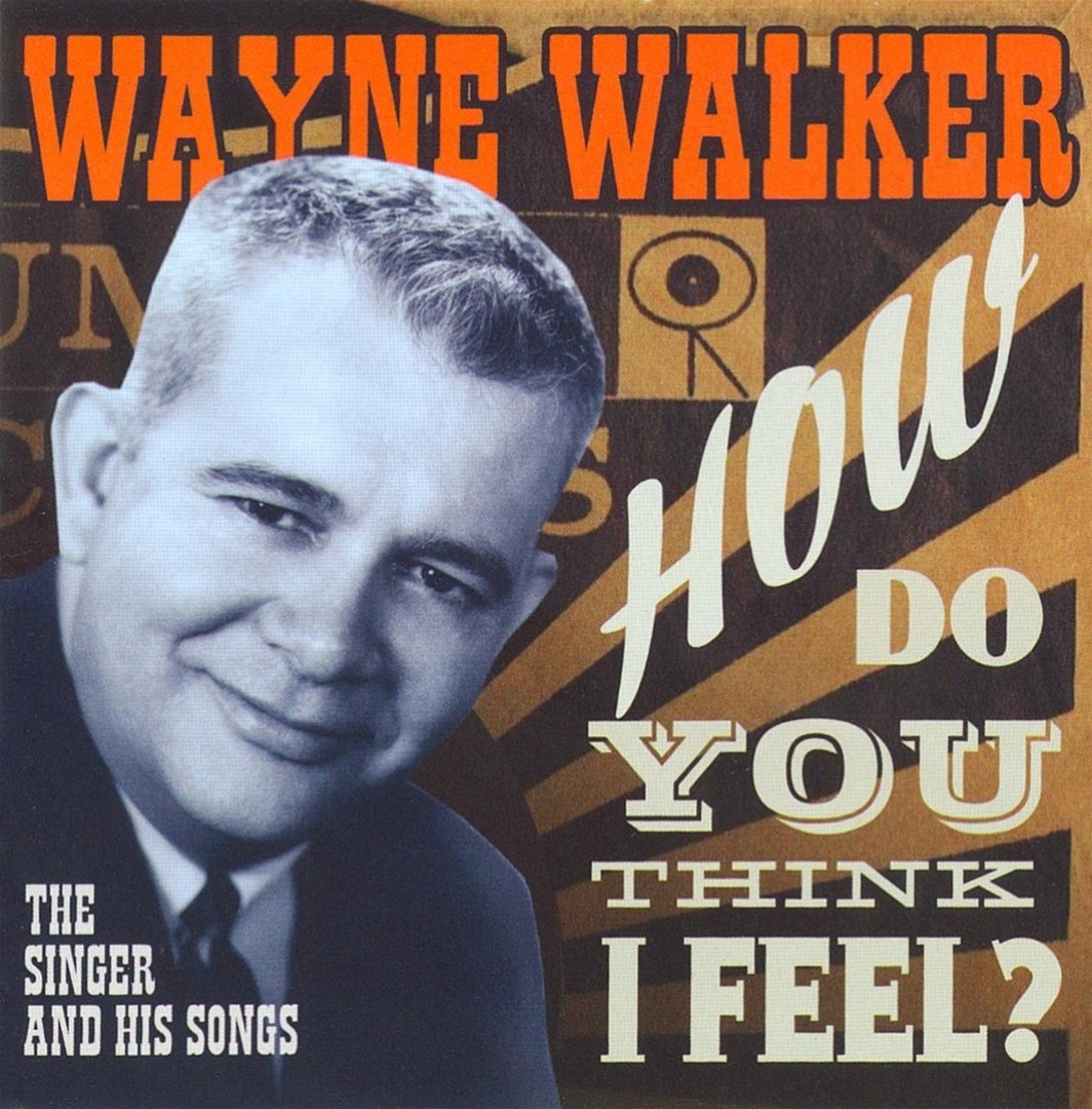 How Do You Think I Feel?: The Singer and His S... | AllMusic