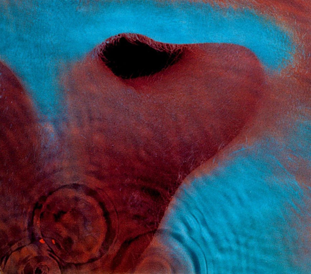 Meddle - Pink Floyd | Album | AllMusic