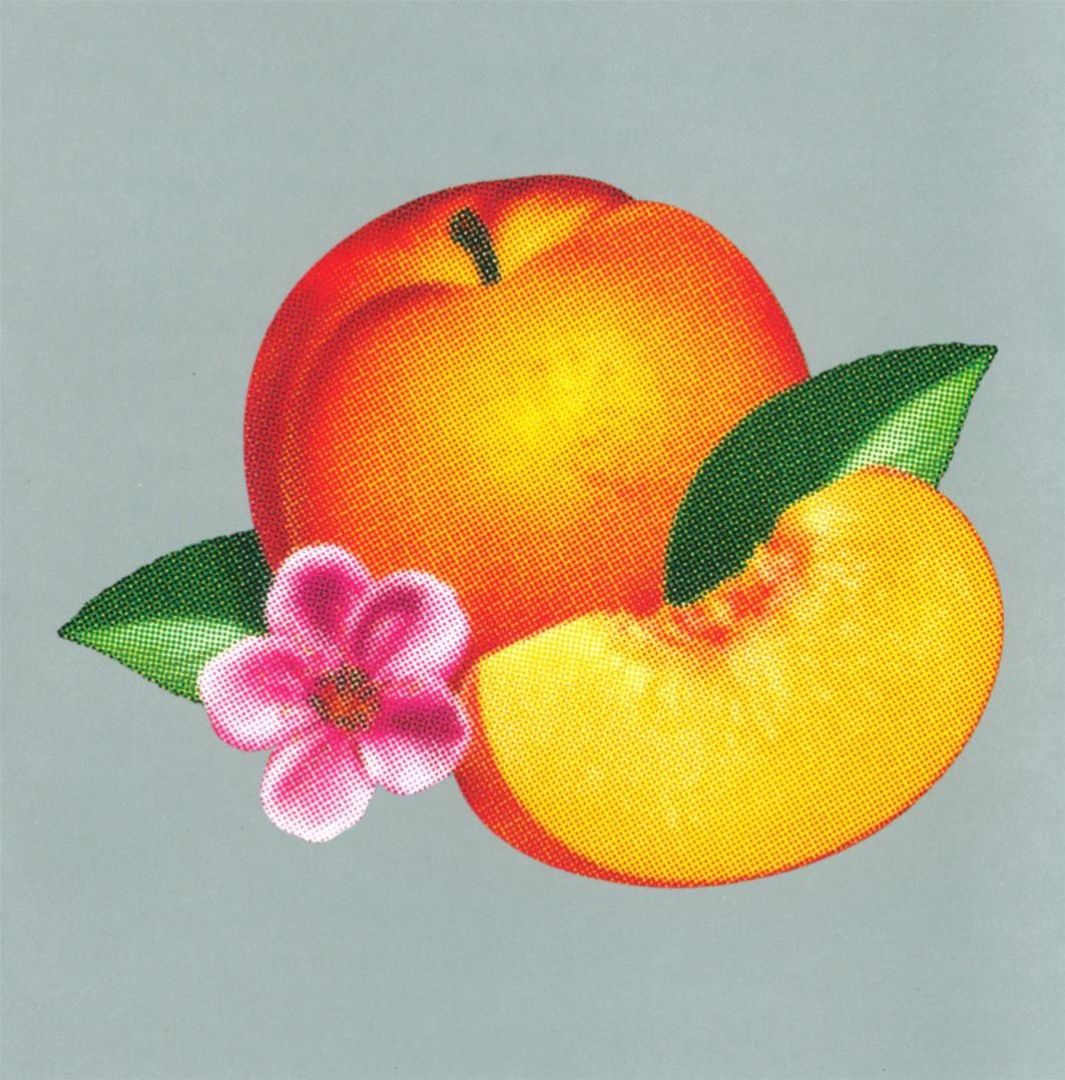 Bankrupt! - Phoenix | Album | AllMusic