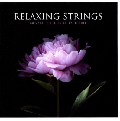 Relaxing Strings - Various Artists | Album | AllMusic