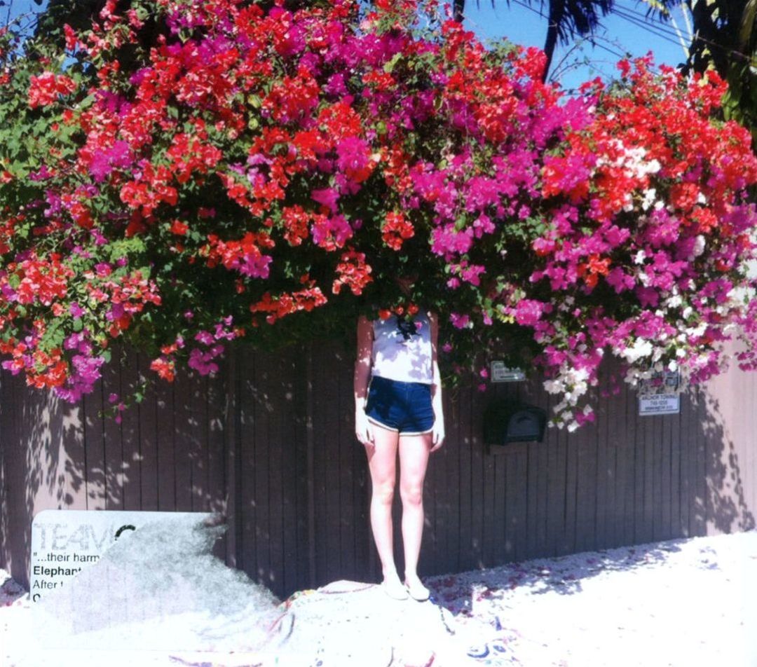 Sunlight on the Moon - Elf Power | Album | AllMusic