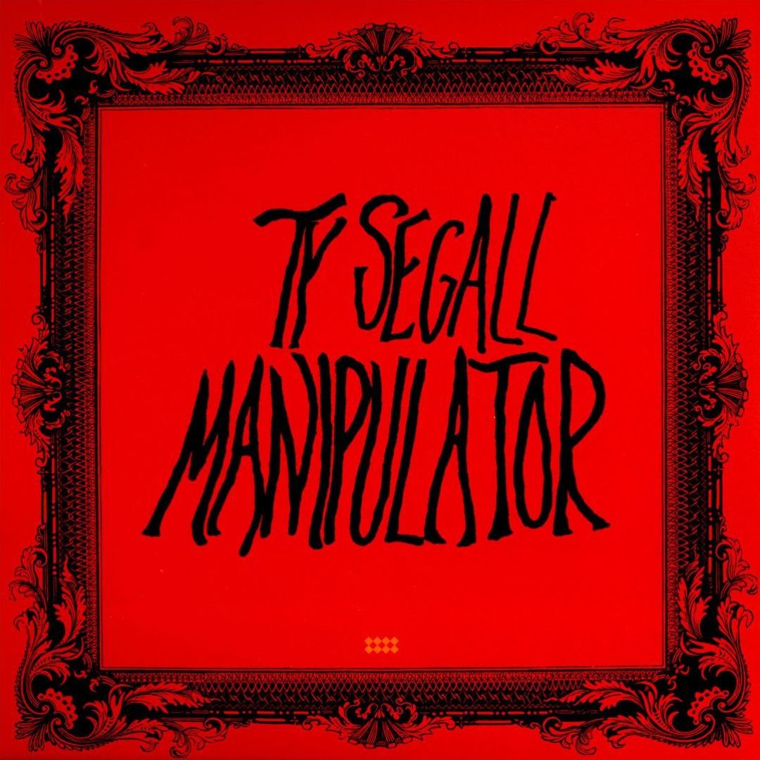 Manipulator - Ty Segall | Album | AllMusic