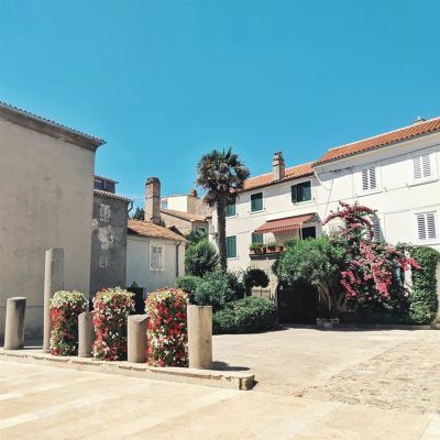 Childhood Nostalgia Nights - Zipper the Slick ... | AllMusic