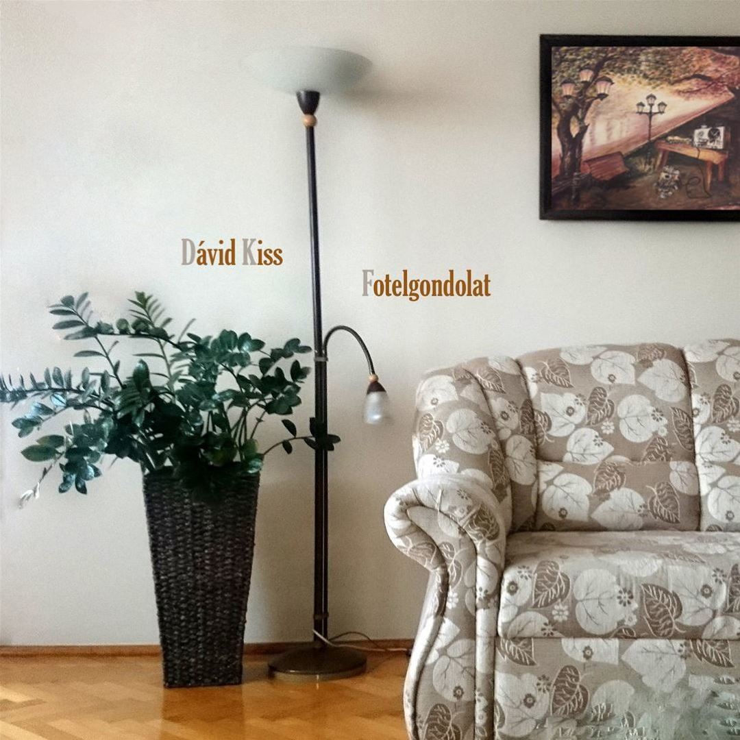 Fotelgondolat - David Kiss | Album | AllMusic
