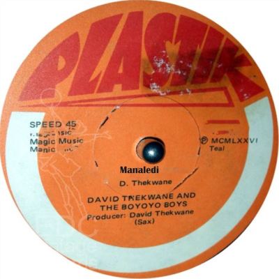Manaledi - The Boyoyo Boys, David Thekwane | A... | AllMusic