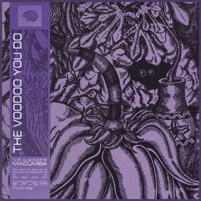The Voodoo You Do - Nir Kleiner | Album | AllMusic