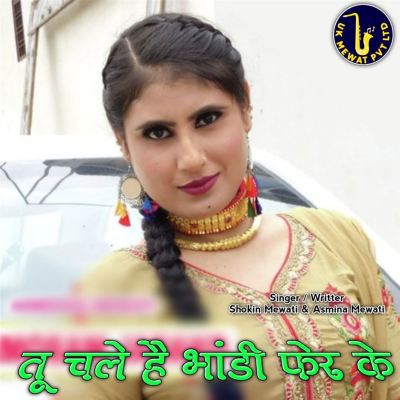 Tu Chale Hai Bhadi Fher Ke - Aslam Mewati | Album | AllMusic