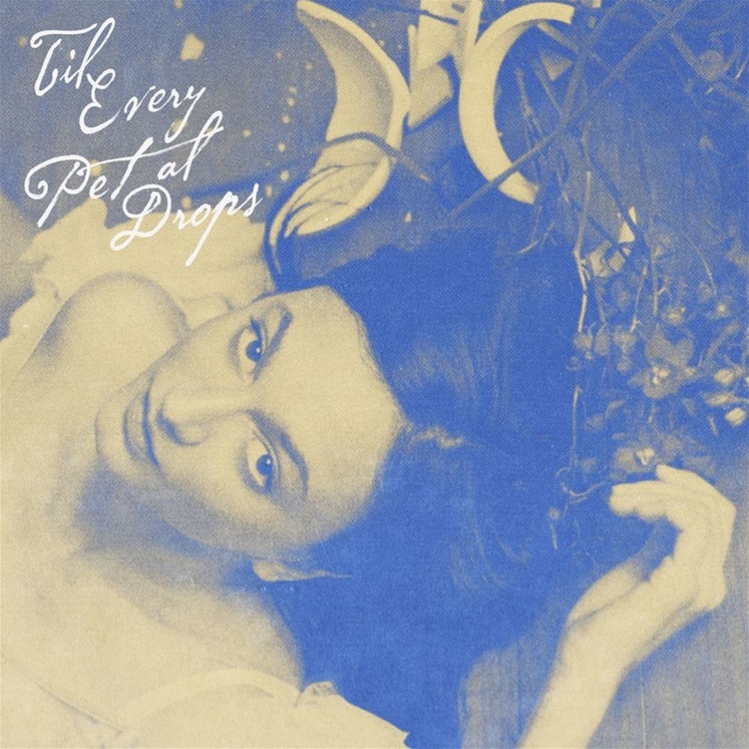 Til Every Petal Drops - Daya | Album | AllMusic