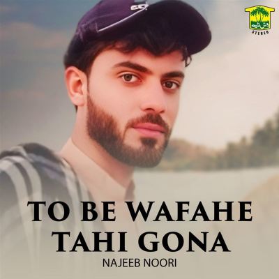 To Be Wafahe Tahi Gona - Najeeb Noori | Album | AllMusic