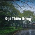 Ciray: Đại Thiên Bồng Tracks & Reviews | AllMusic
