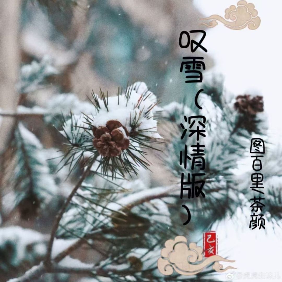 叹雪 [Sighing at the Snow] - Tu Baili, Chaya... | AllMusic
