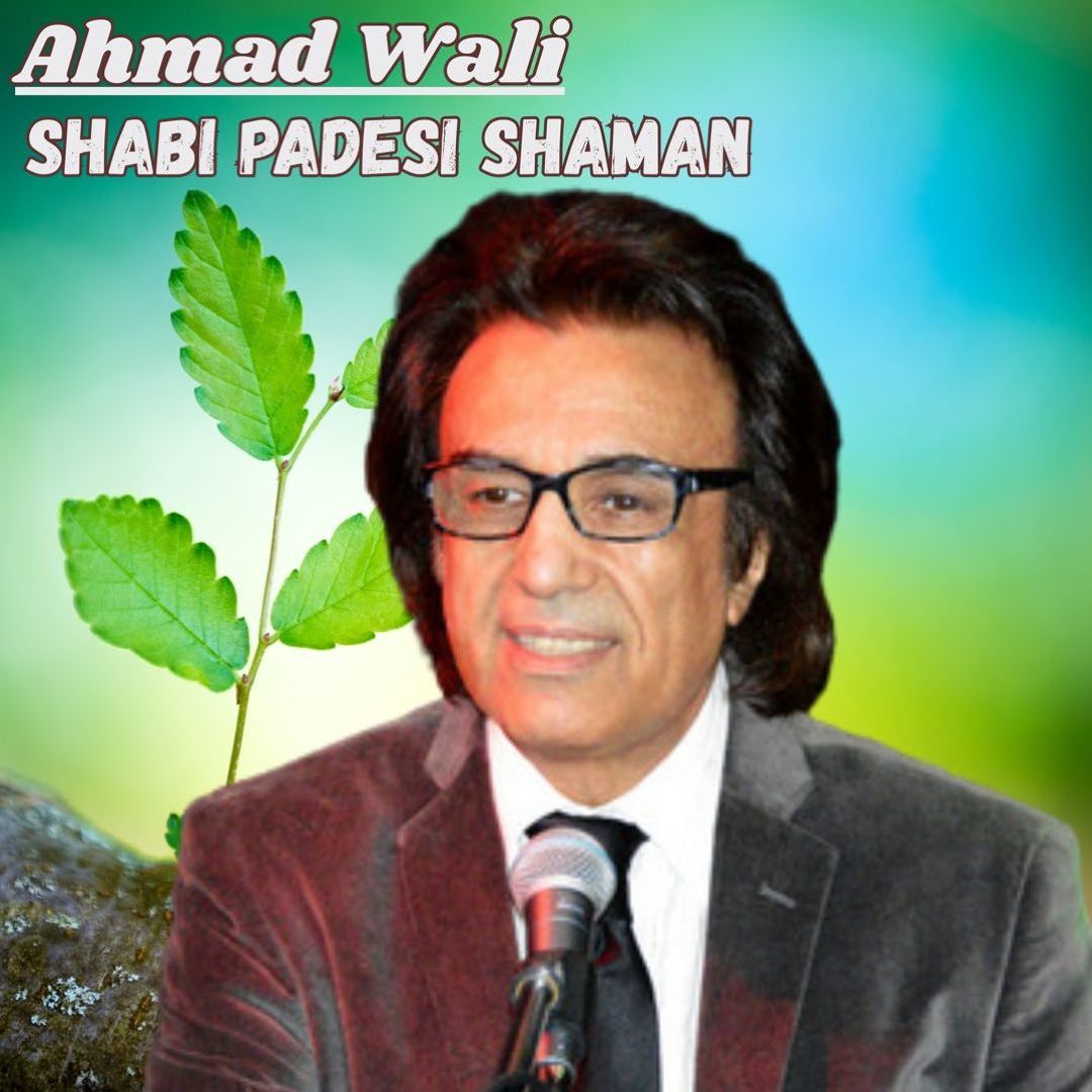 Shabi Padesi Shaman - Ahmad Wali | Album | AllMusic