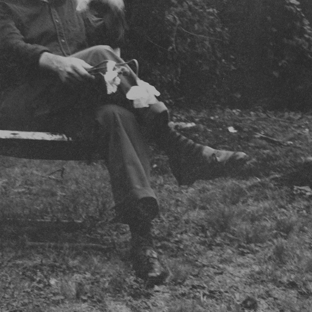 The Long Surrender - Needtobreathe | Album | AllMusic