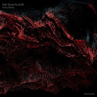 Sonic Plants - Sair Sinan Kestelli | Album | AllMusic