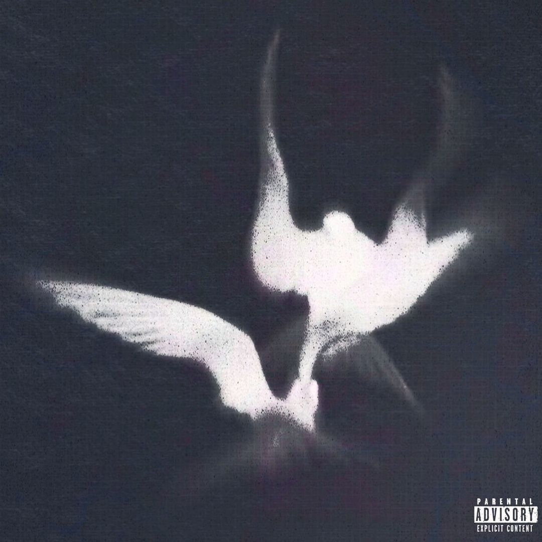 Fly Away - Ari | Album | AllMusic