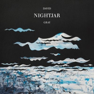 David Gray: Nightjar Tracks & Reviews | AllMusic