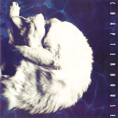 Whirlpool - Chapterhouse | Album | AllMusic